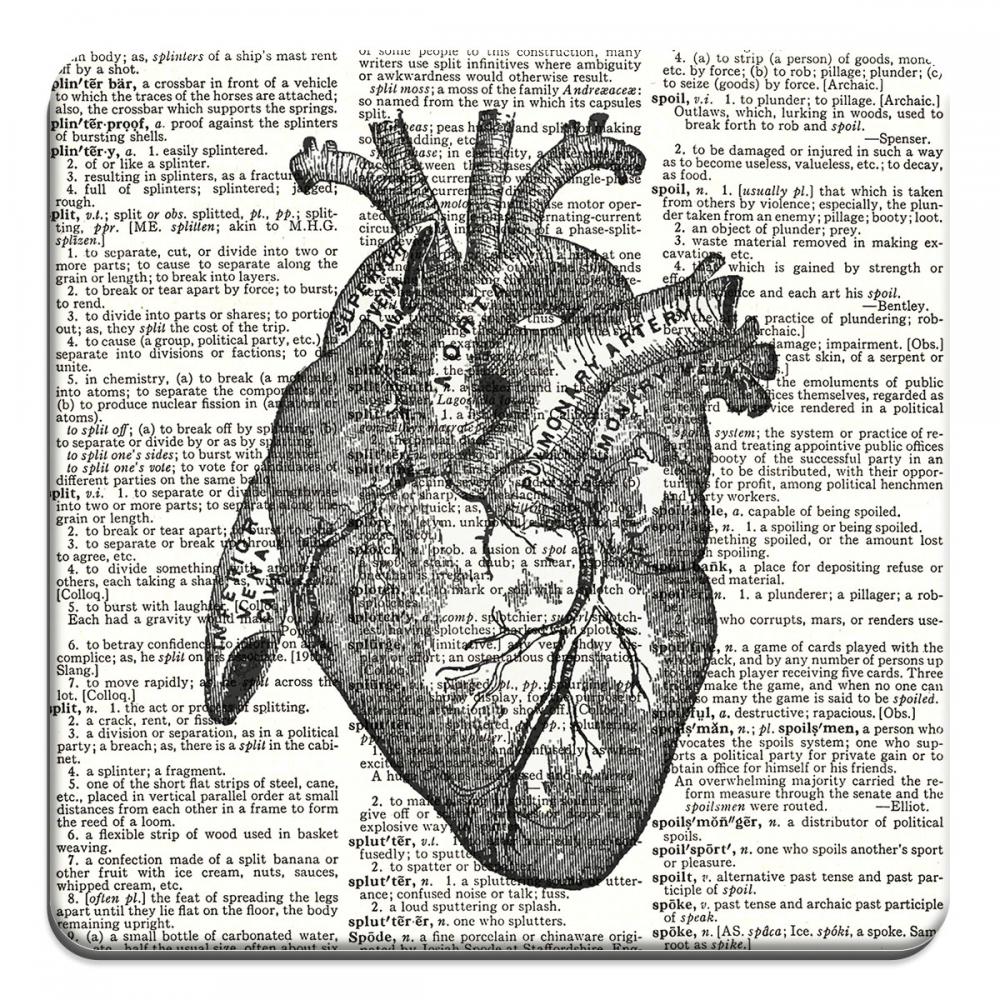Human Heart - Novelty Coasters — Fresh Prints of CT