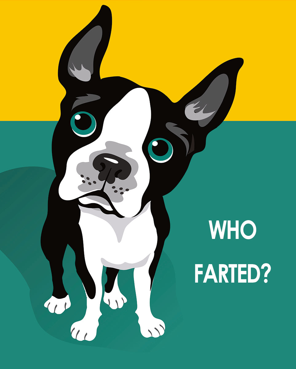 Who Farted Boston Terrier - Pop Art Prints — Fresh Prints of CT