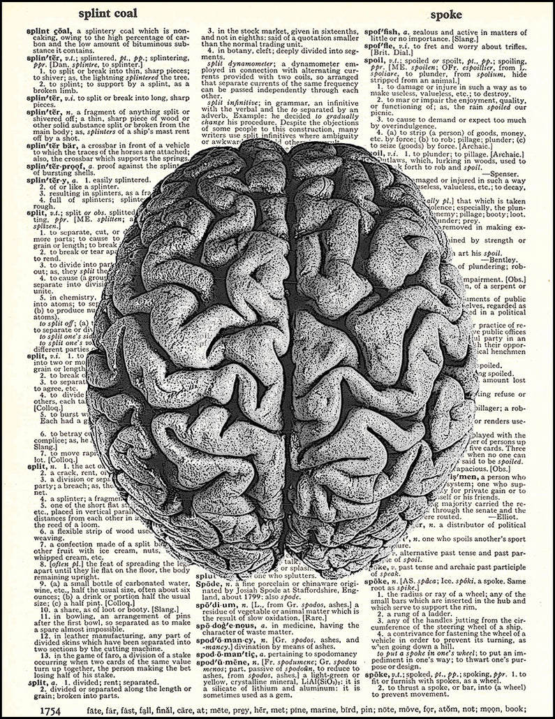 Human Brain - Dictionary Art Print — Fresh Prints of CT