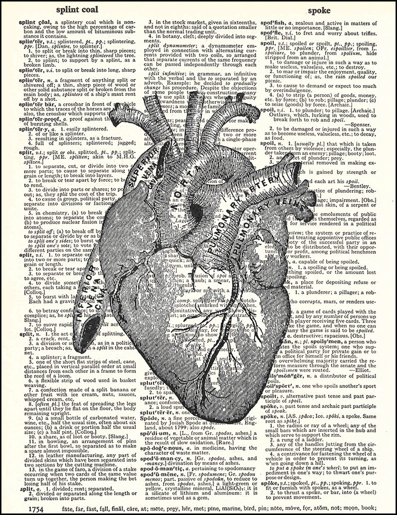 Anatomical Heart - Dictionary Art Print — Fresh Prints of CT