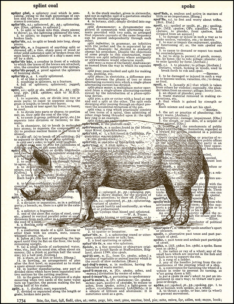 Pig - Dictionary Art Print — Fresh Prints of CT