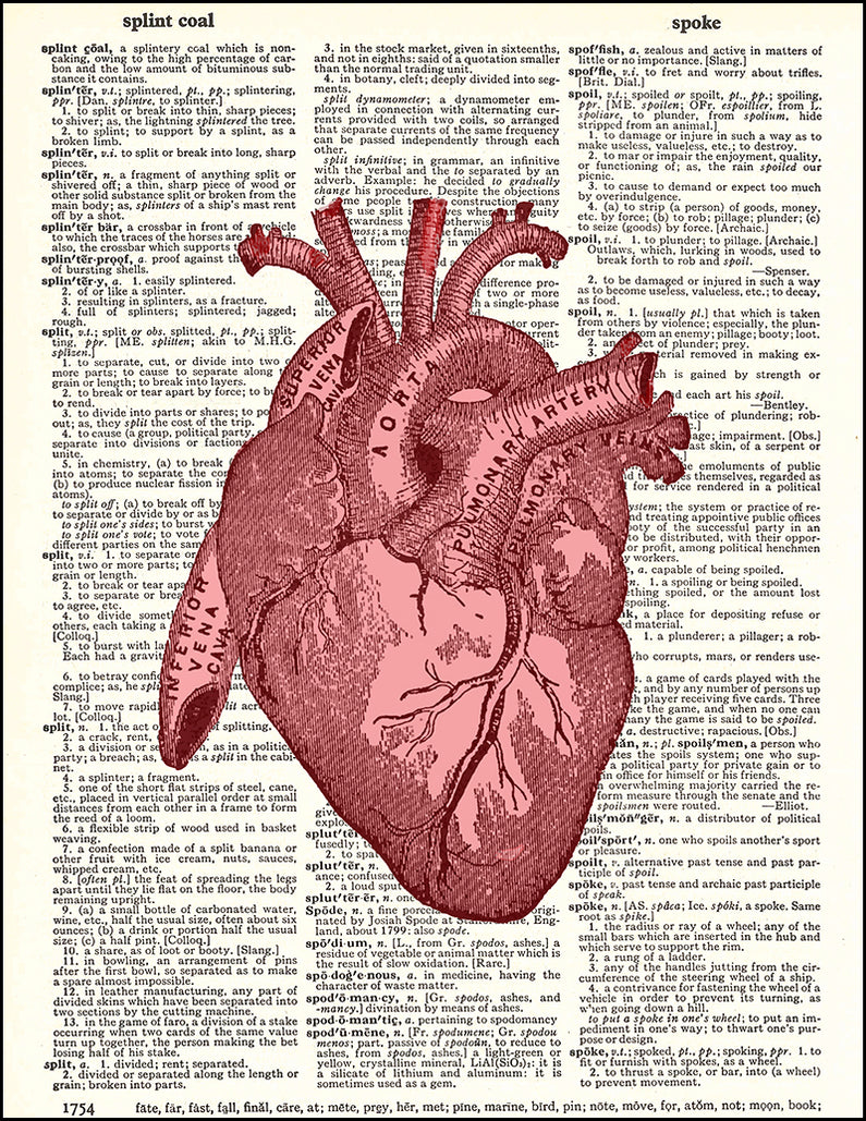 Human Heart Red - Dictionary Art Print — Fresh Prints of CT