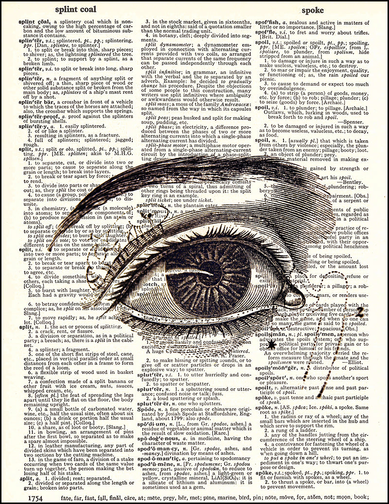 Human Eye - Dictionary Art Print — Fresh Prints of CT