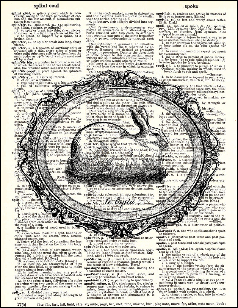 Bunny Rabbit Le Lapin - Dictionary Art Print — Fresh Prints of CT