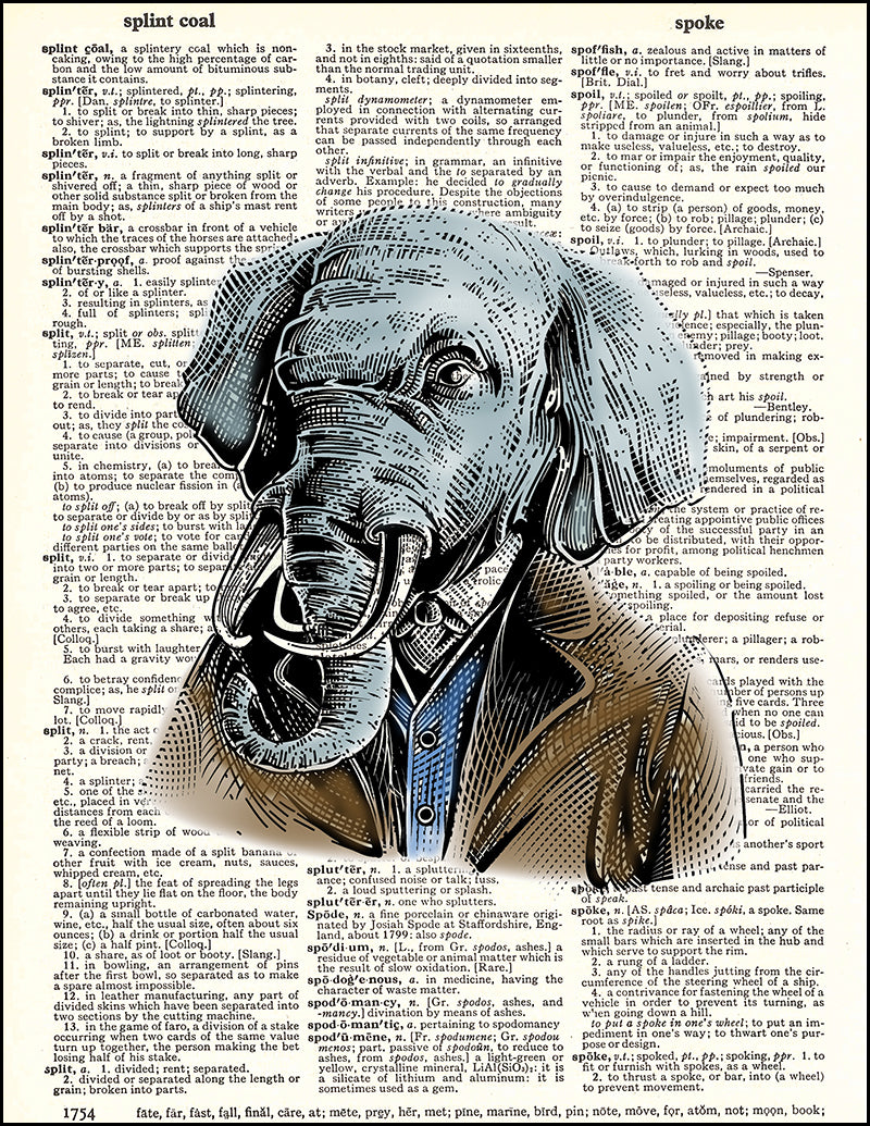 Elephant Portrait - Dictionary Art Print — Fresh Prints of CT