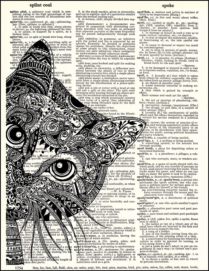 Peekaboo Kitty - Dictionary Art Print — Fresh Prints of CT