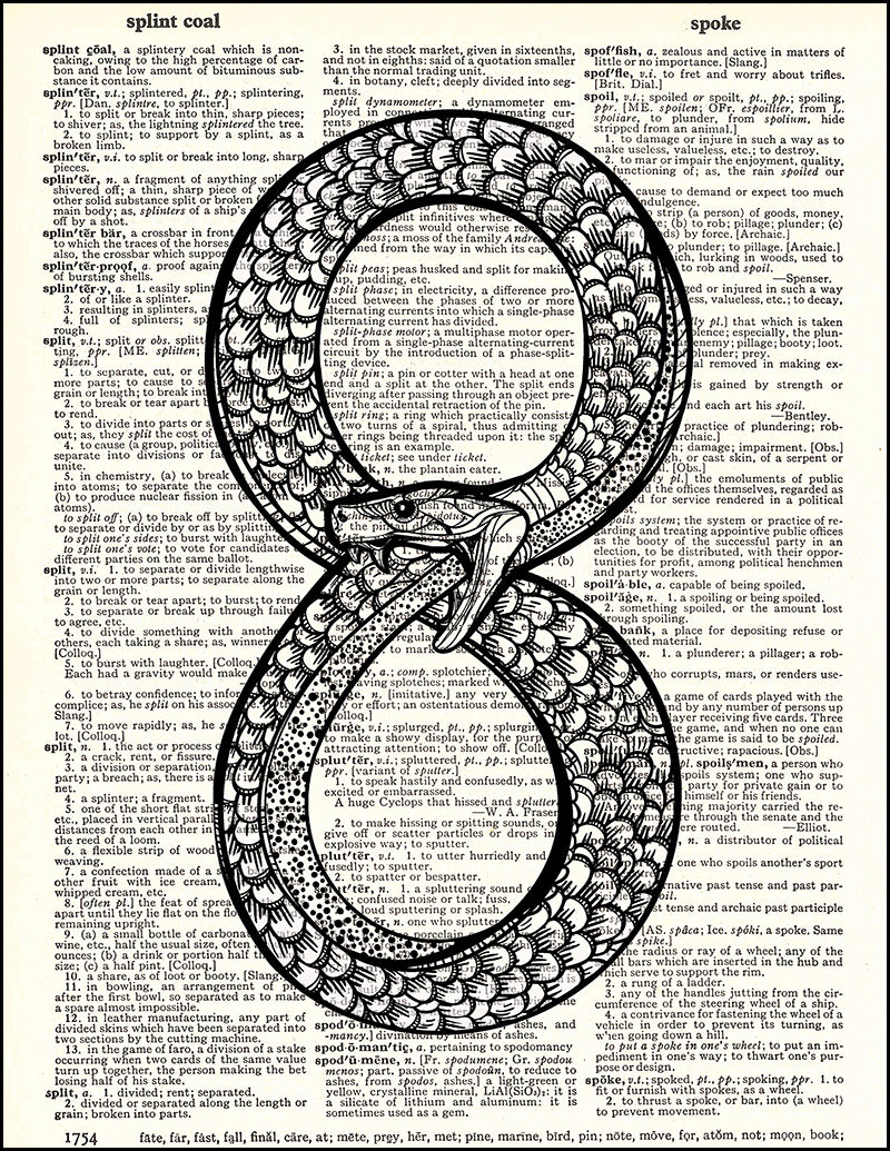 Infinity Snake - Dictionary Art Print — Fresh Prints of CT
