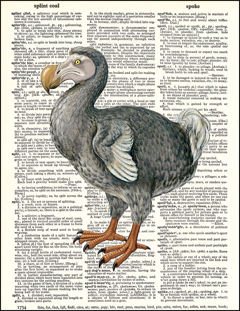 Dodo Bird - Dictionary Art Print — Fresh Prints of CT